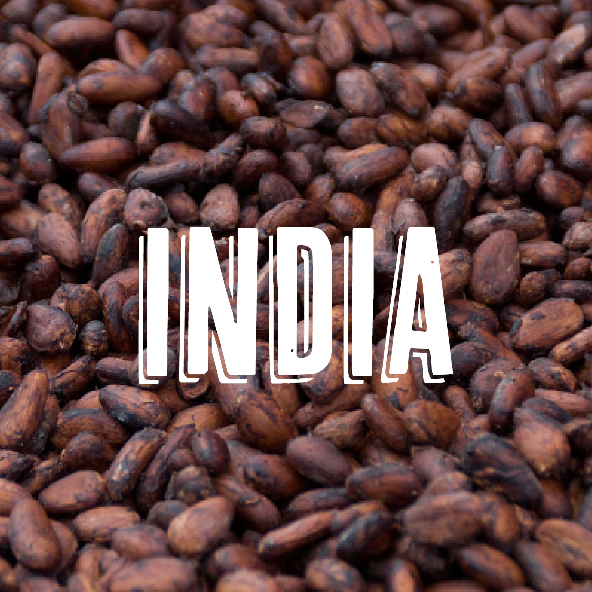 India – Cocoa Hub