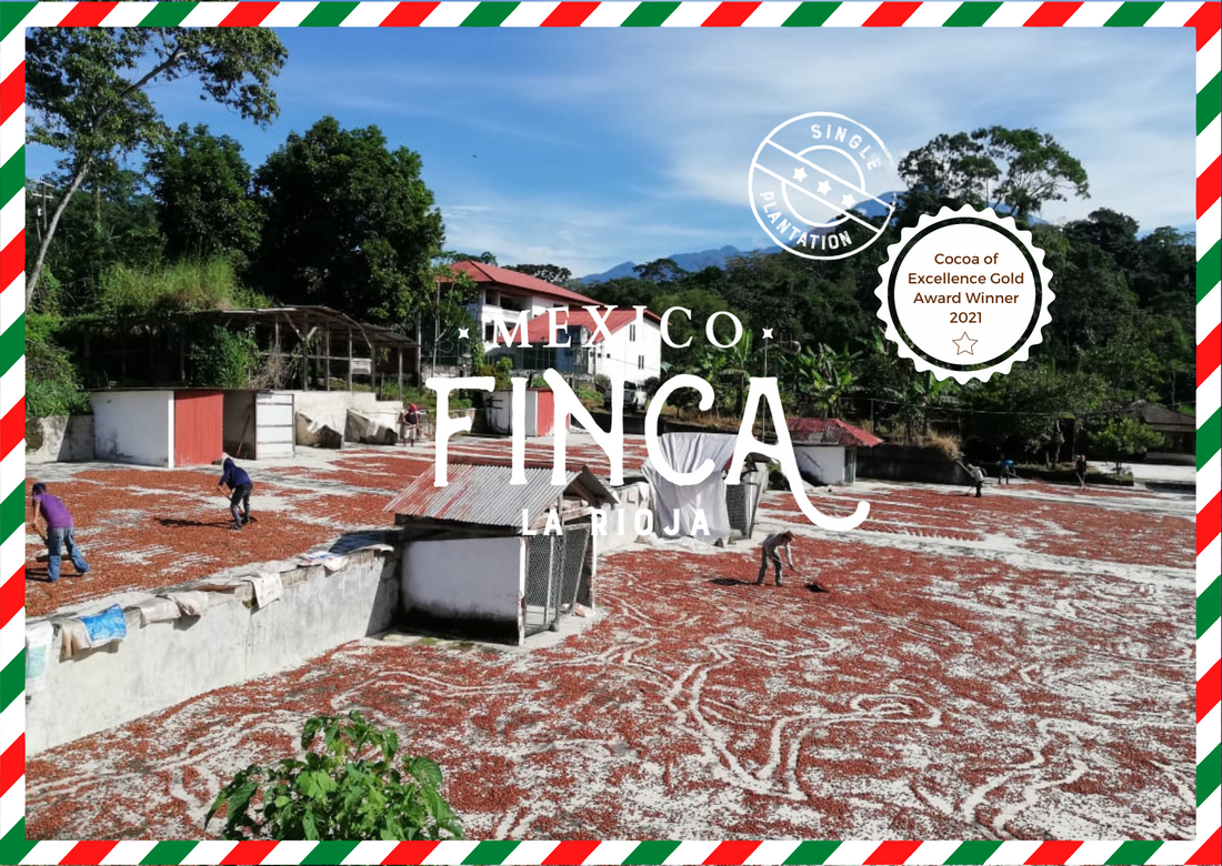 Mexico Finca La Rioja Porcelana Blanca Cacao Beans – Wholesale | Cocoa Hub